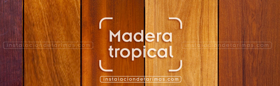 ¿Por qué la madera tropical es superior?